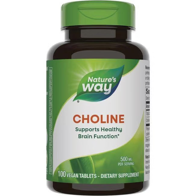 Choline 500mg for Brain, Liver & Fat Metabolism – Nature’s Way – Body ...